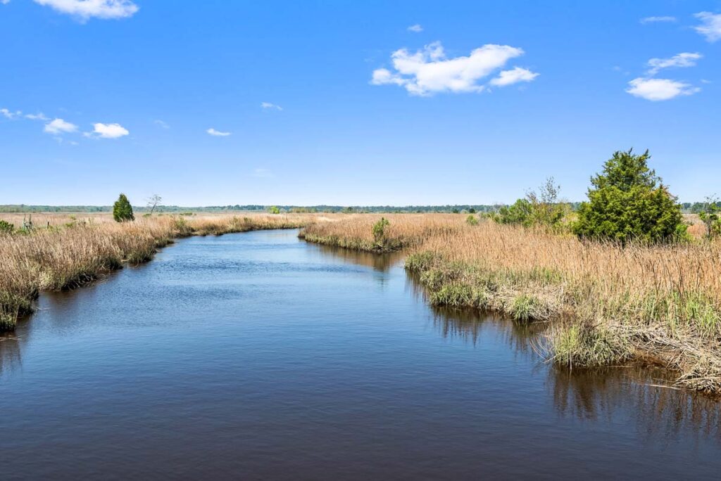 Duck Hunting Property in the Santee Delta | Kinloch Plantation