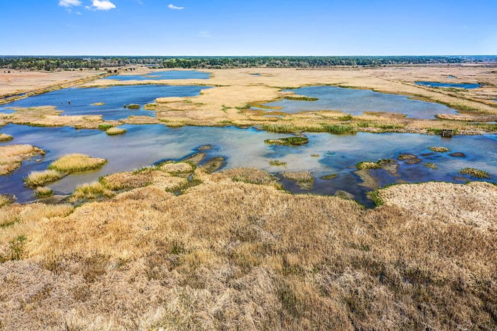 Duck Hunting Property in the Santee Delta | Kinloch Plantation